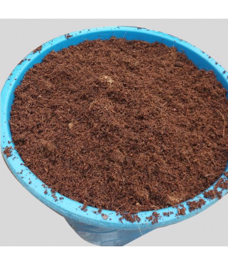 Coco Peat 5kg Bale